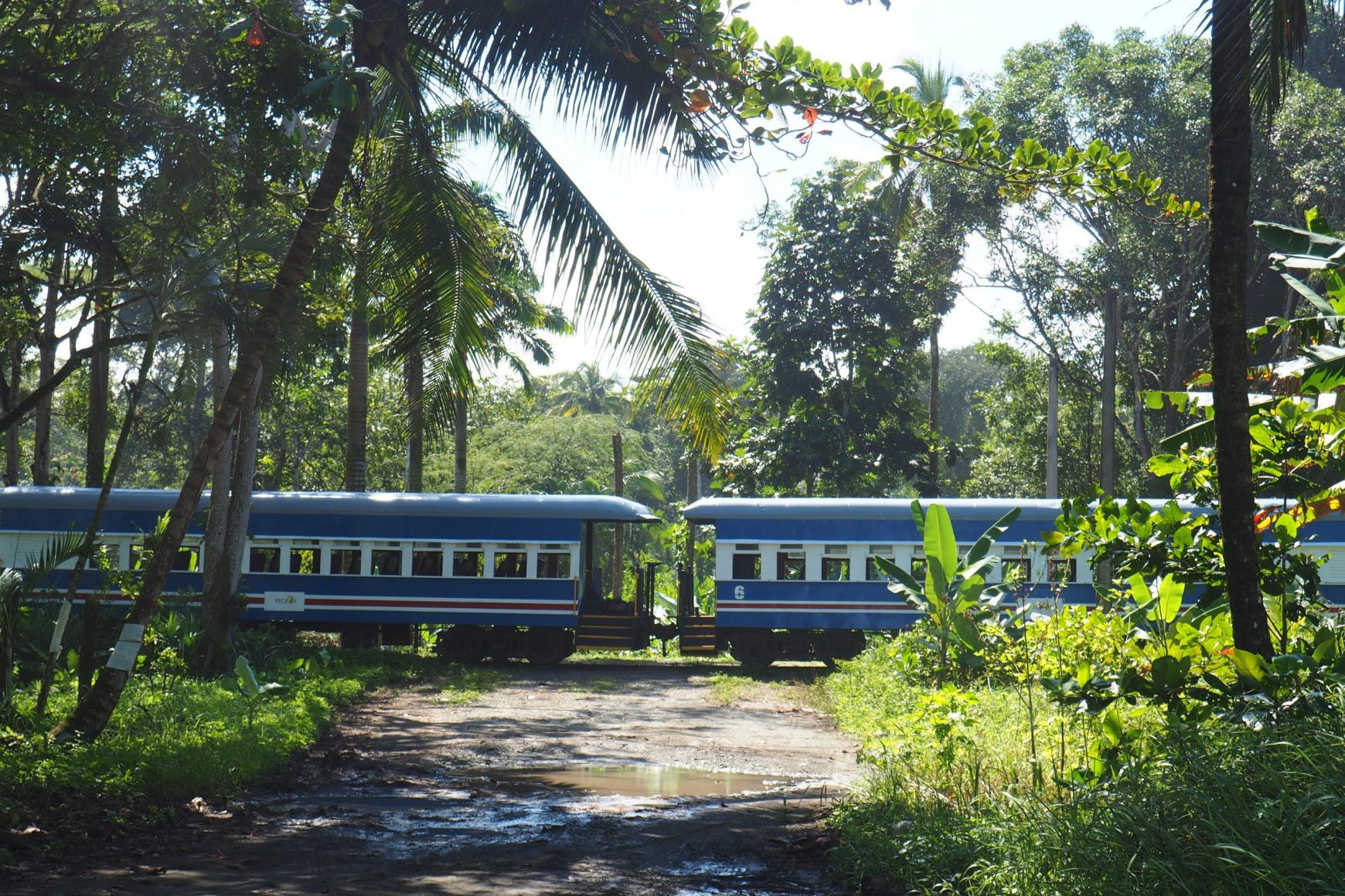 Train,In,Costa,Rica,,Caribbean,Coast » WORLD INSIGHT