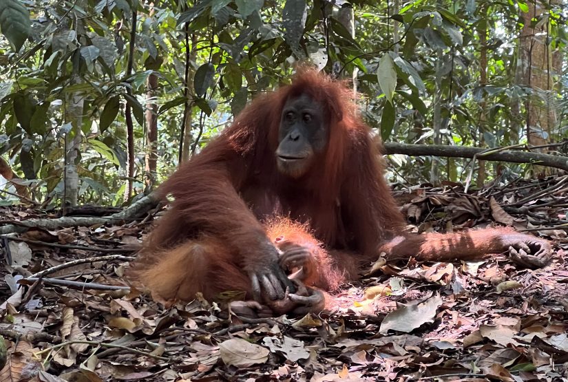 Ein persönlicher Jahresrückblick 2023 » WORLD INSIGHT