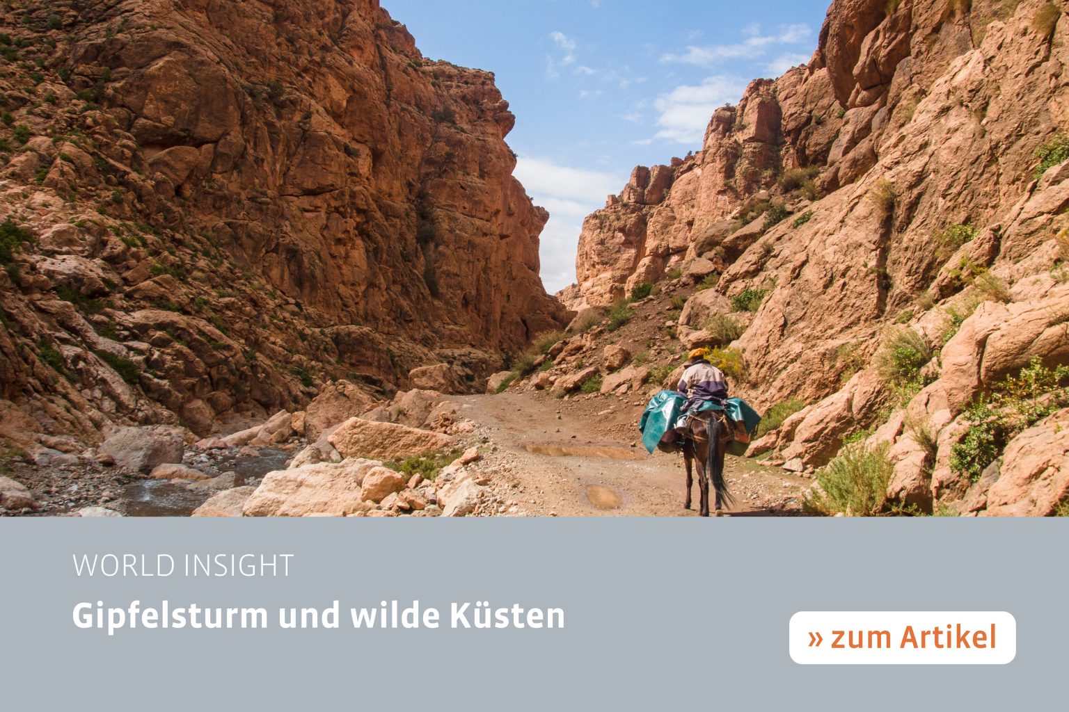 Die Vielfalt Marokkos mit WORLD INSIGHT erleben » WORLD INSIGHT